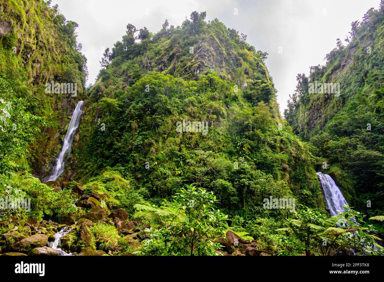 Stunning waterfalls in Dominica, Trafalgar falls, Caribbean Stock Photo ...