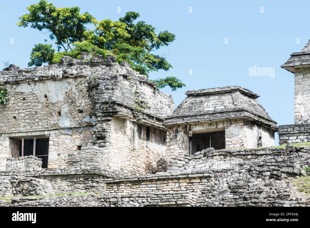 Part of the Northern Group of buildings in the Mayan site of Palenque ...