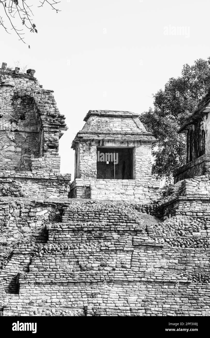 Part of the Northern Group of buildings in the Mayan site of Palenque ...