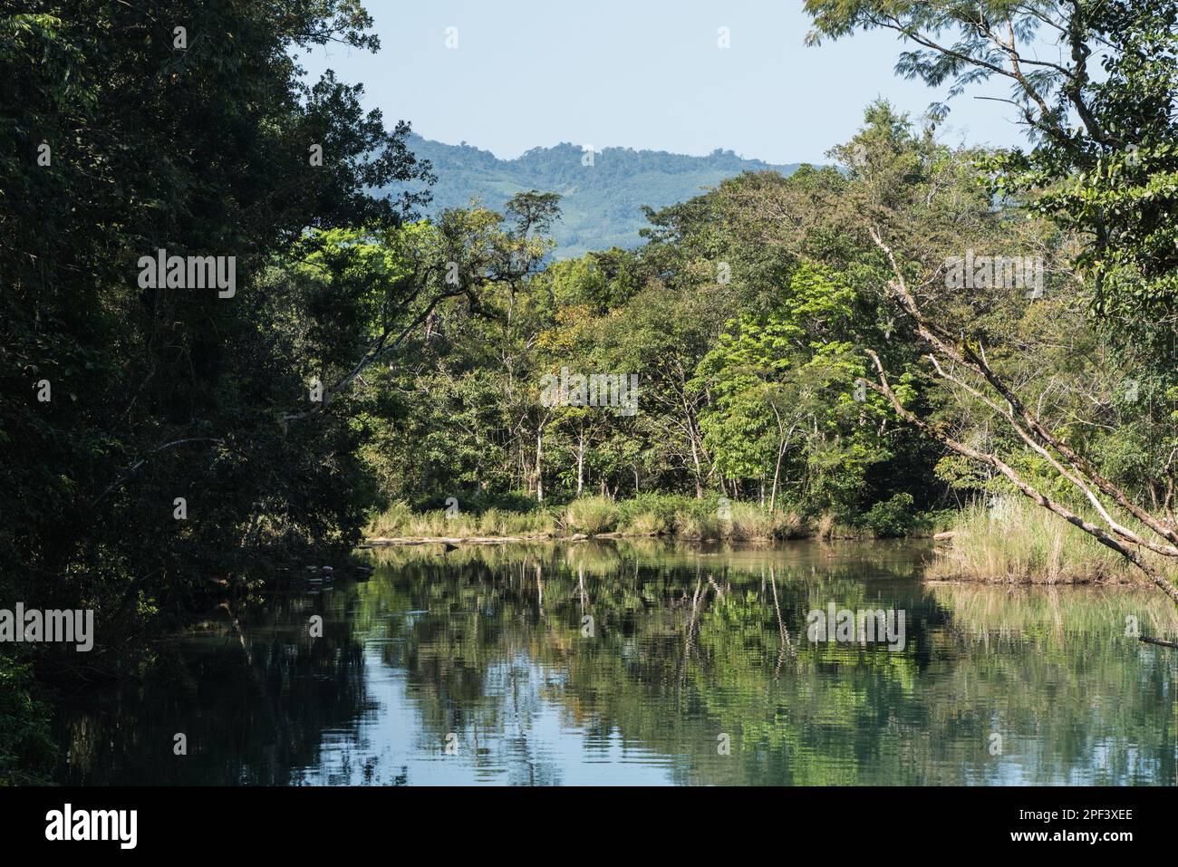 River at Roberto Barrios, Chiapas State, Mexico Stock Photo - Alamy