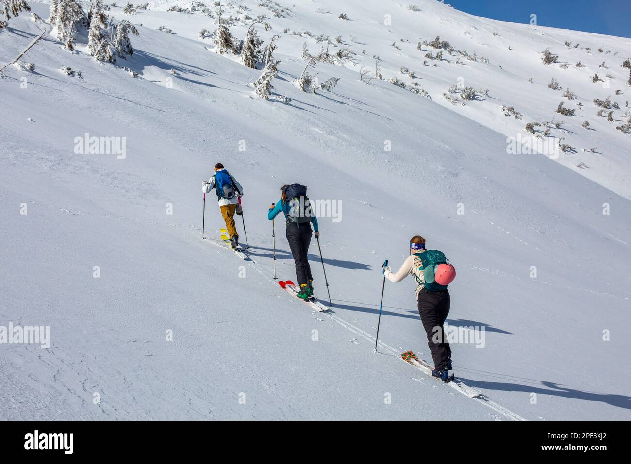 Excitement palpable hi-res stock photography and images - Alamy