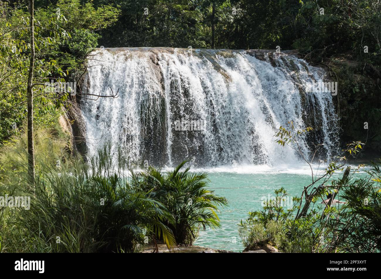 Waterfall at Roberto Barrios, Chiapas State, Mexico Stock Photo - Alamy