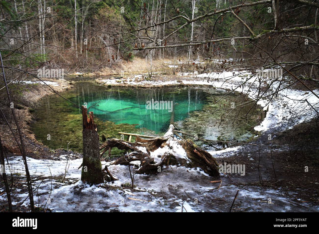 Swim underwater spring hi-res stock photography and images - Alamy