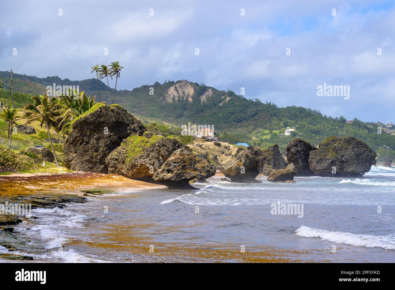 Rock formation on the beach of Bathsheba, East coast of island Barbados ...