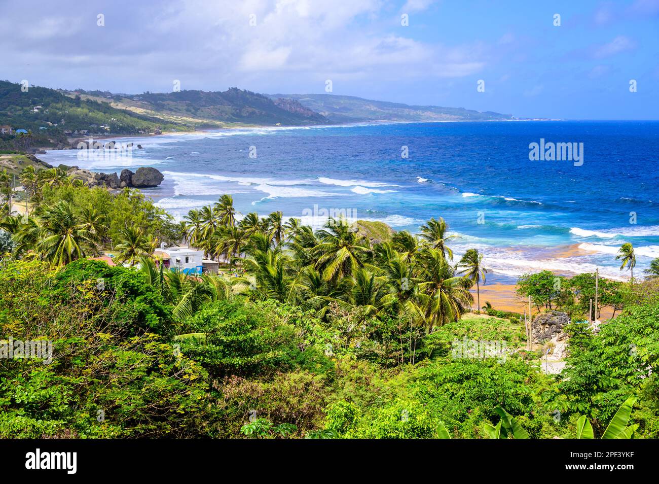 Rock formation on the beach of Bathsheba, East coast of island Barbados ...