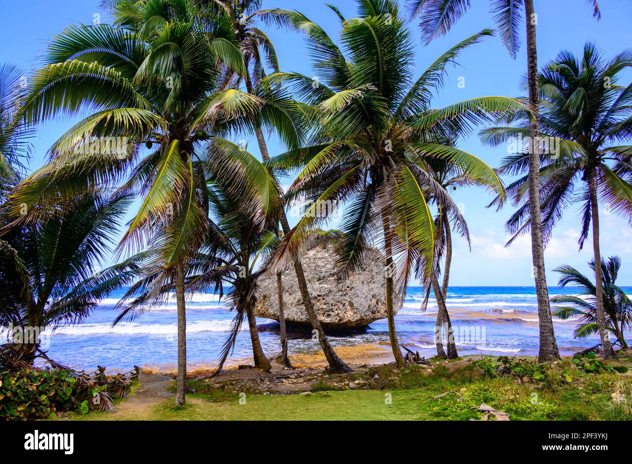 Rock formation on the beach of Bathsheba, East coast of island Barbados ...