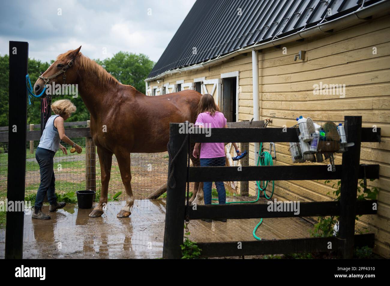 UNITED STATES - June 19, 2019: Emily Houston of Paeonian Springs and ...