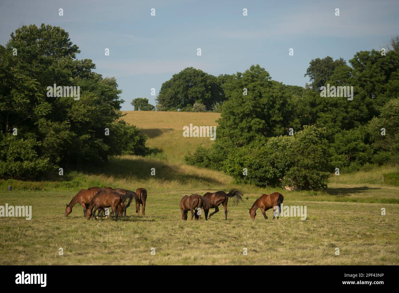 UNITED STATES - June 11, 2019: A western view off of Welbourne Road ...