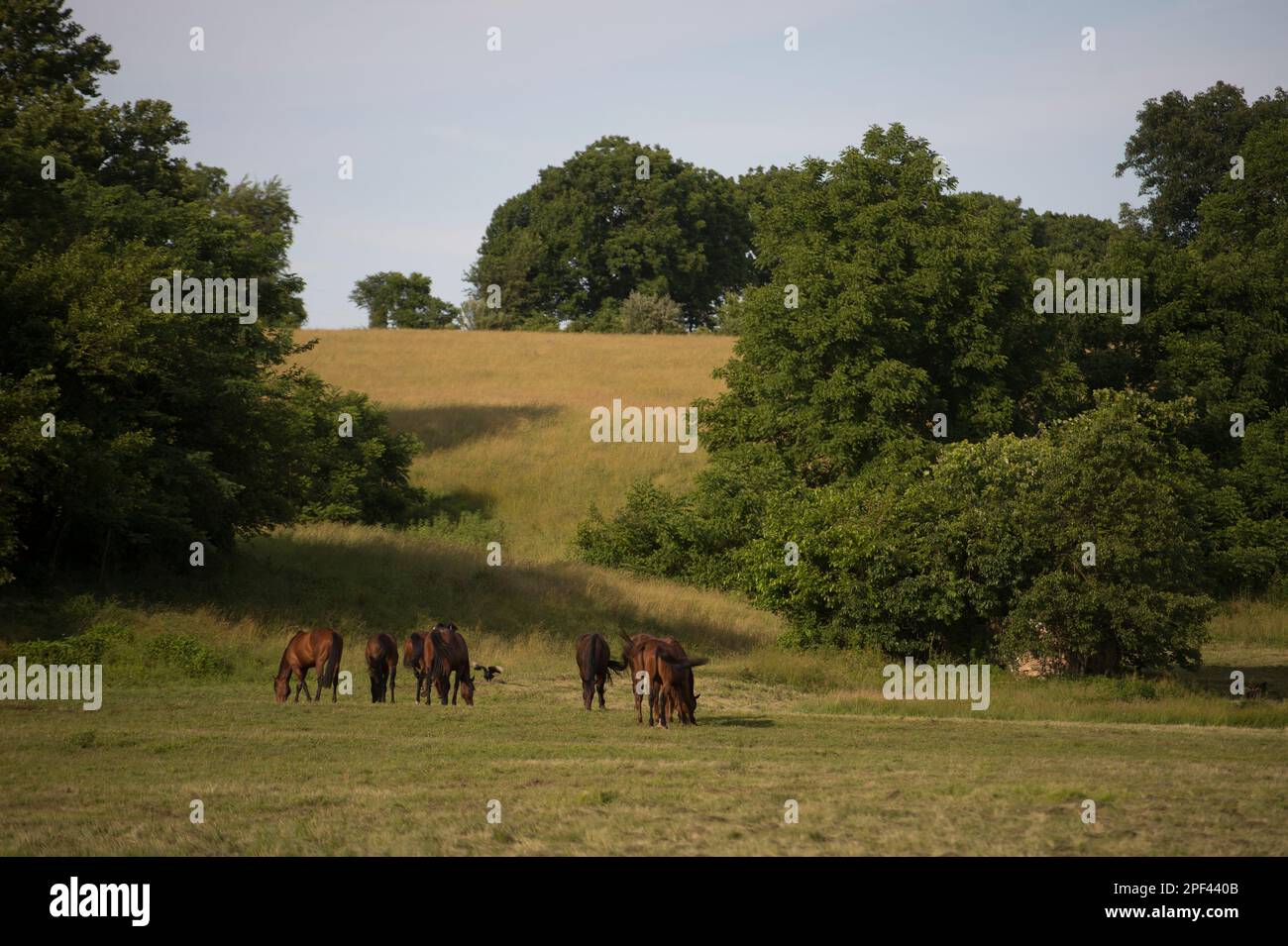 UNITED STATES - June 11, 2019: A western view off of Welbourne Road ...