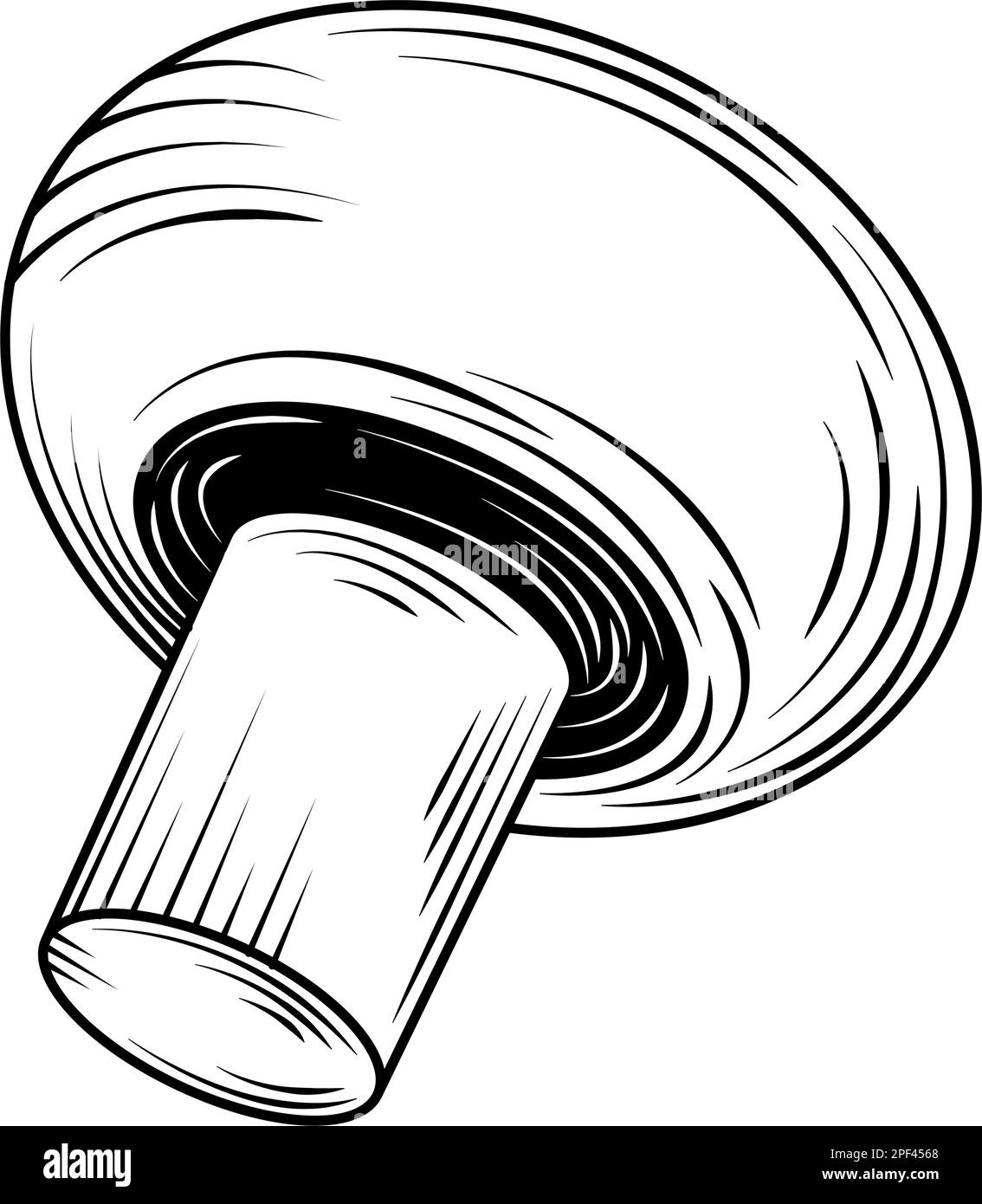 mushroom vector isolated Stock Vector Image & Art - Alamy