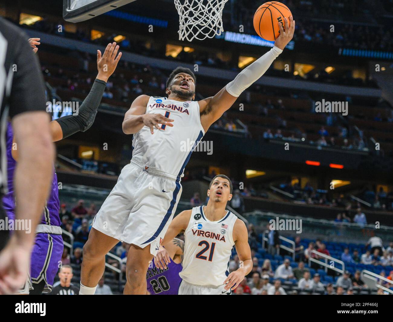 Rtg20230316 0095 jpg hi-res stock photography and images - Alamy