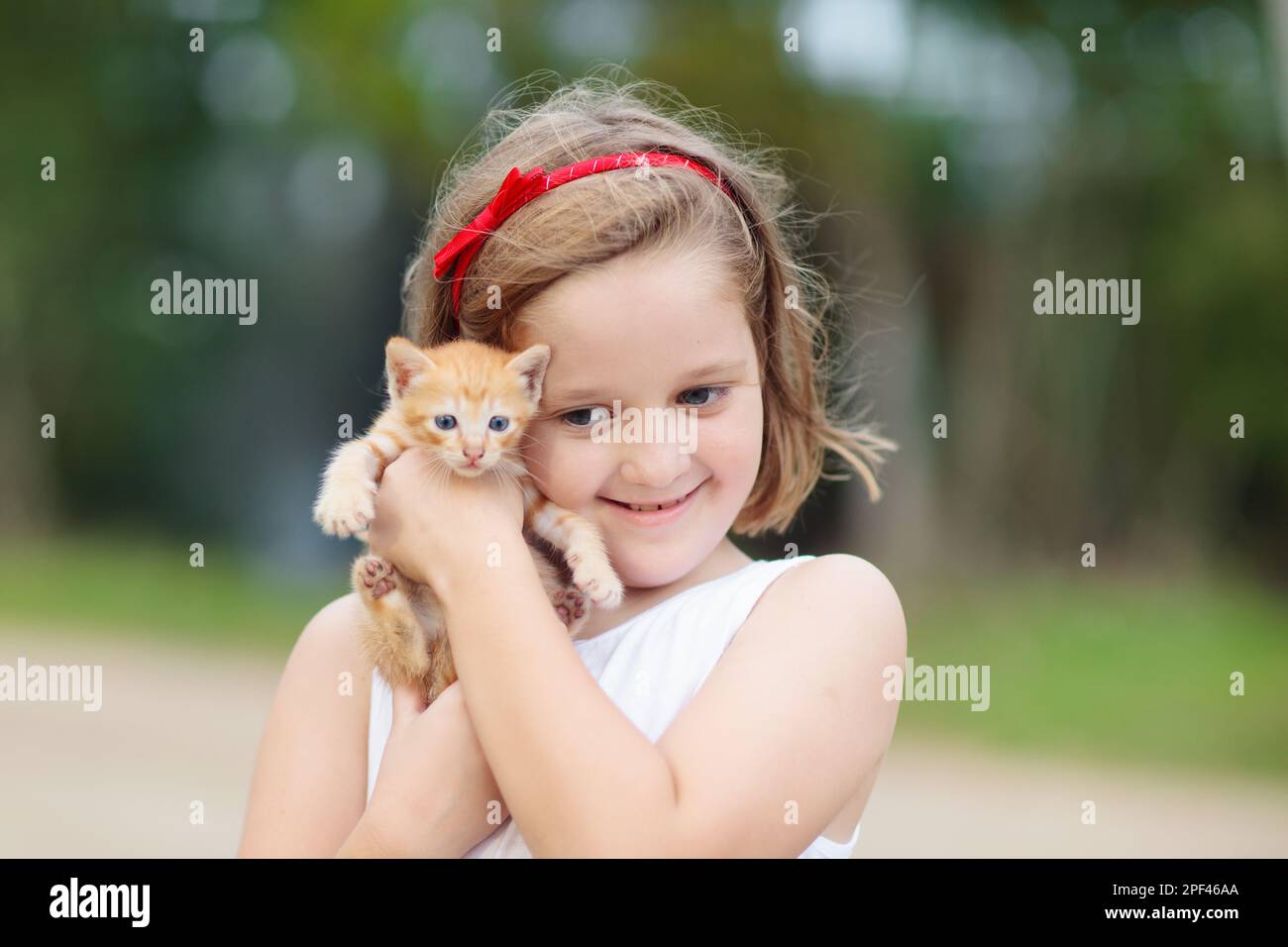 Child holding baby cat. Kids and pets. Little girl hugging cute little ...