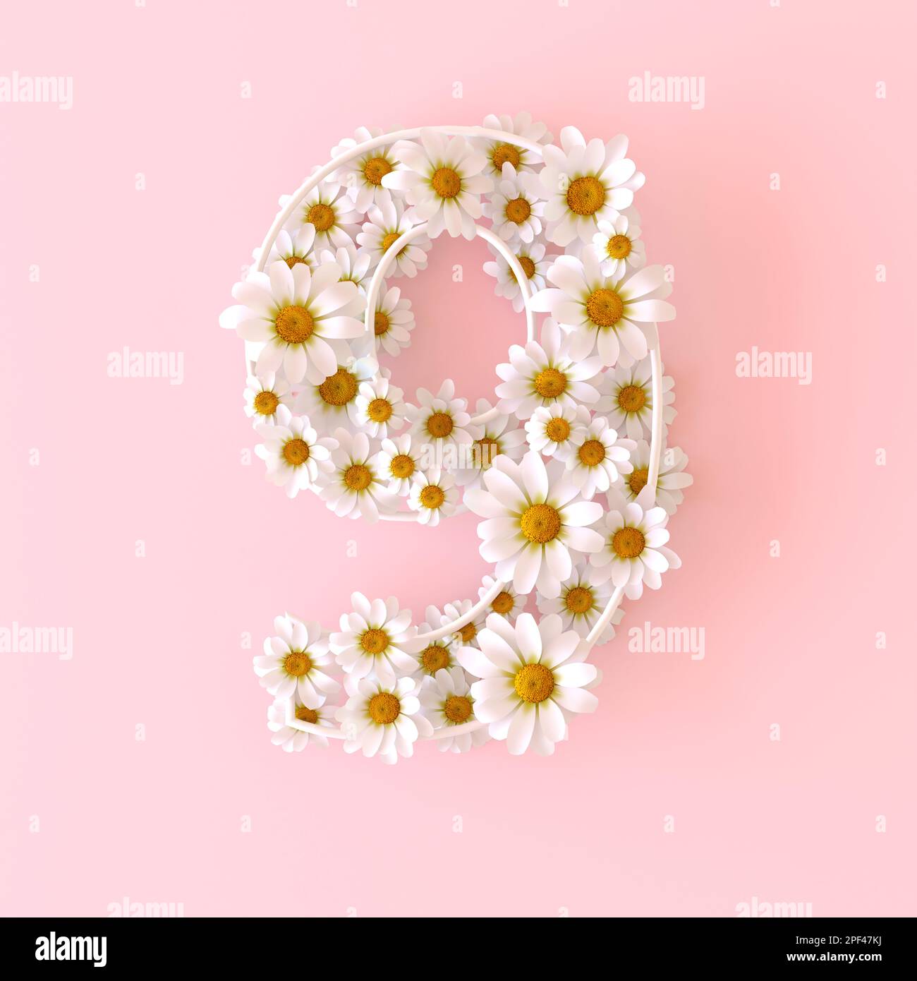 Number 9 made of natural chamomile flowers. Cute camomiles number nine ...