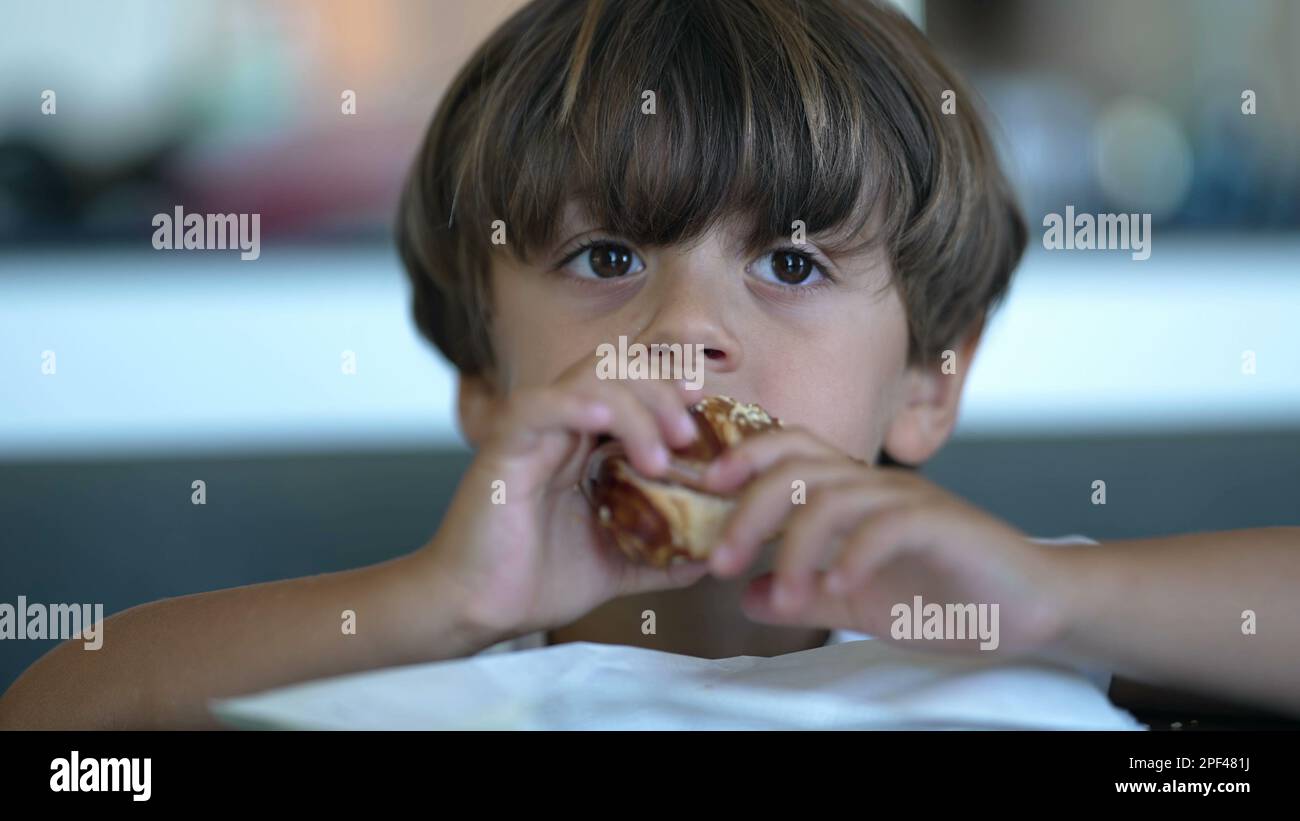 Little boy eating sandwich. Child taking a bite of bread. Kid eats ...