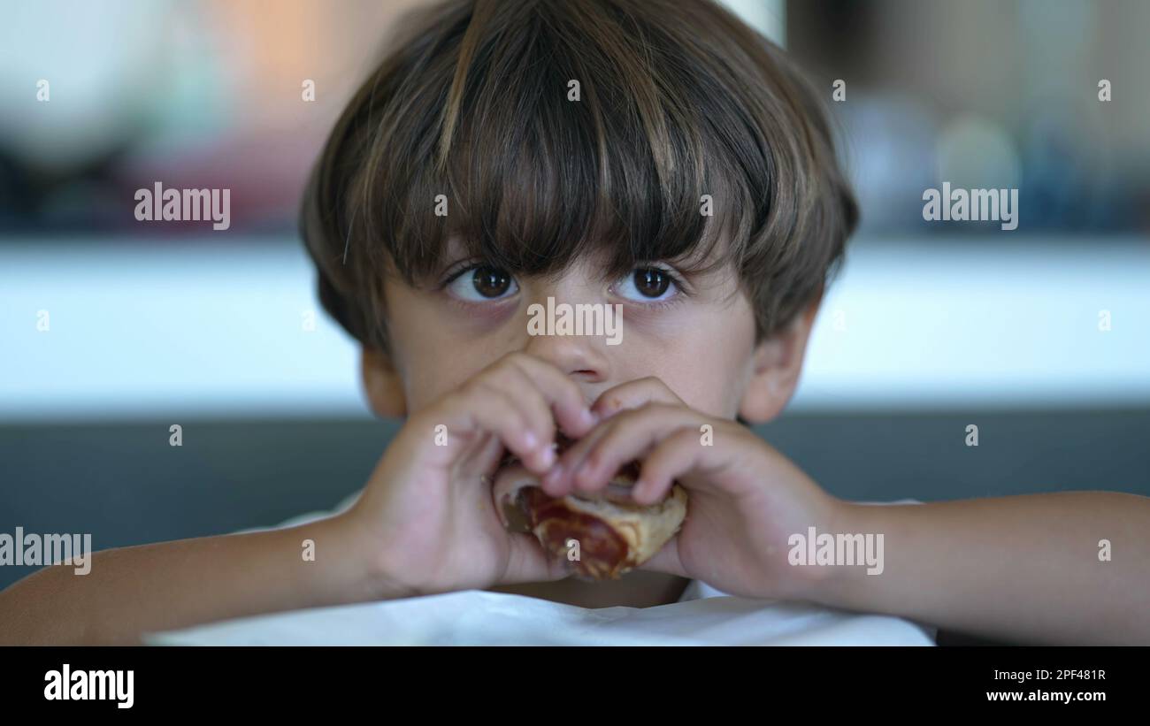 Little boy eating sandwich. Child taking a bite of bread. Kid eats ...