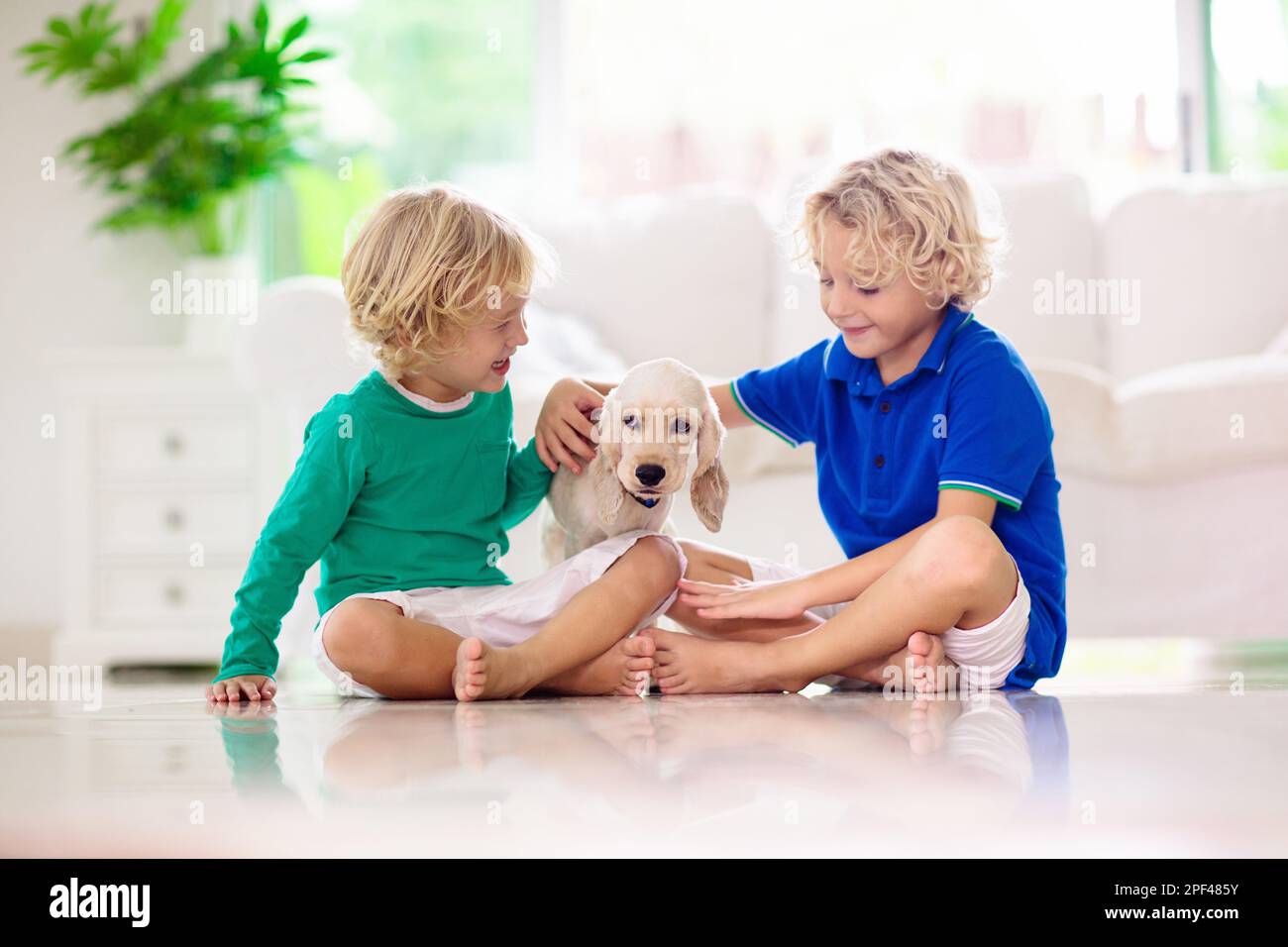 Child playing with baby dog. Kids with puppy. Little boy and American ...