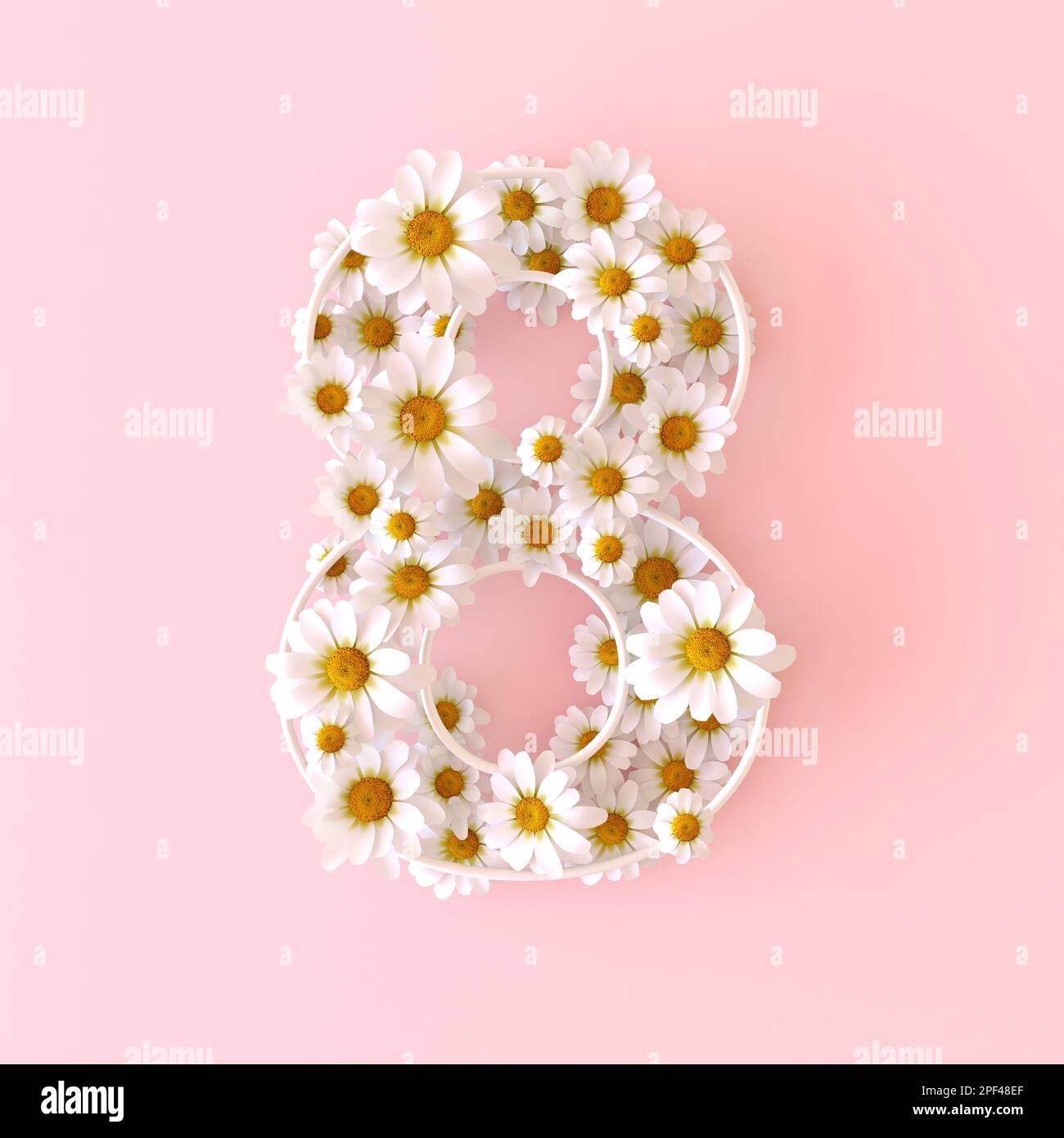 Number 8 made of natural chamomile flowers. Cute camomiles number eight ...