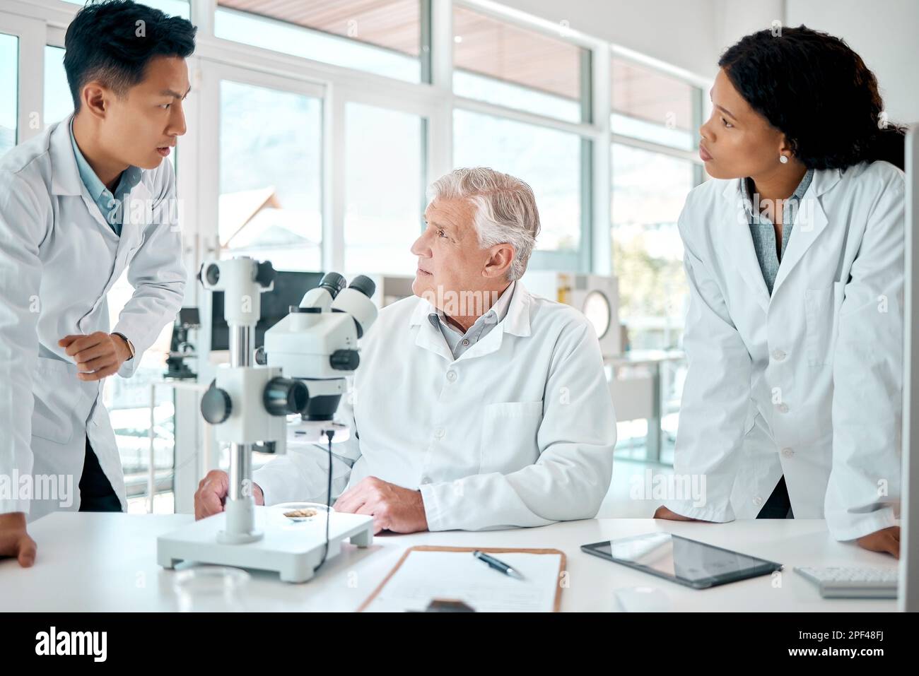 They have a few more experiments to do. a group of scientists working together in a lab Stock ...