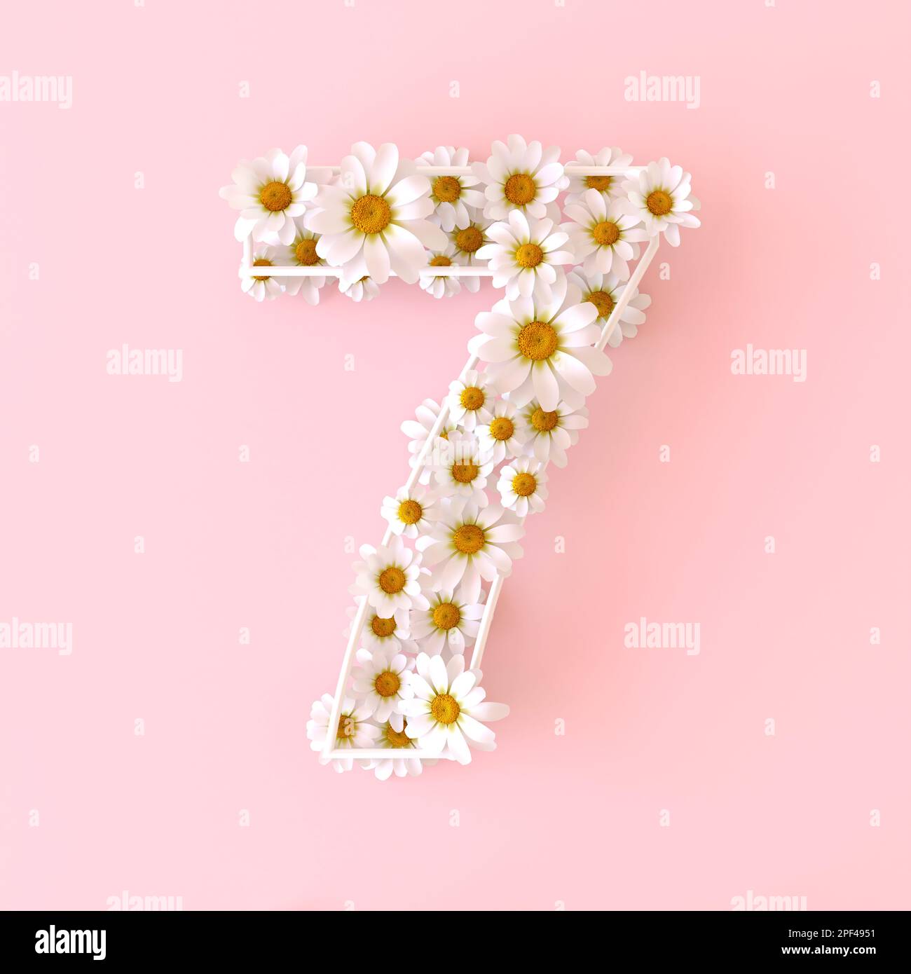 Number 7 made of natural chamomile flowers. Cute camomiles number seven ...