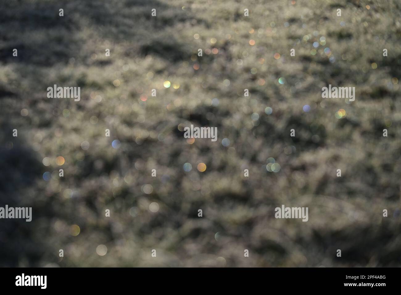 Blur sparkles texture hi-res stock photography and images - Alamy