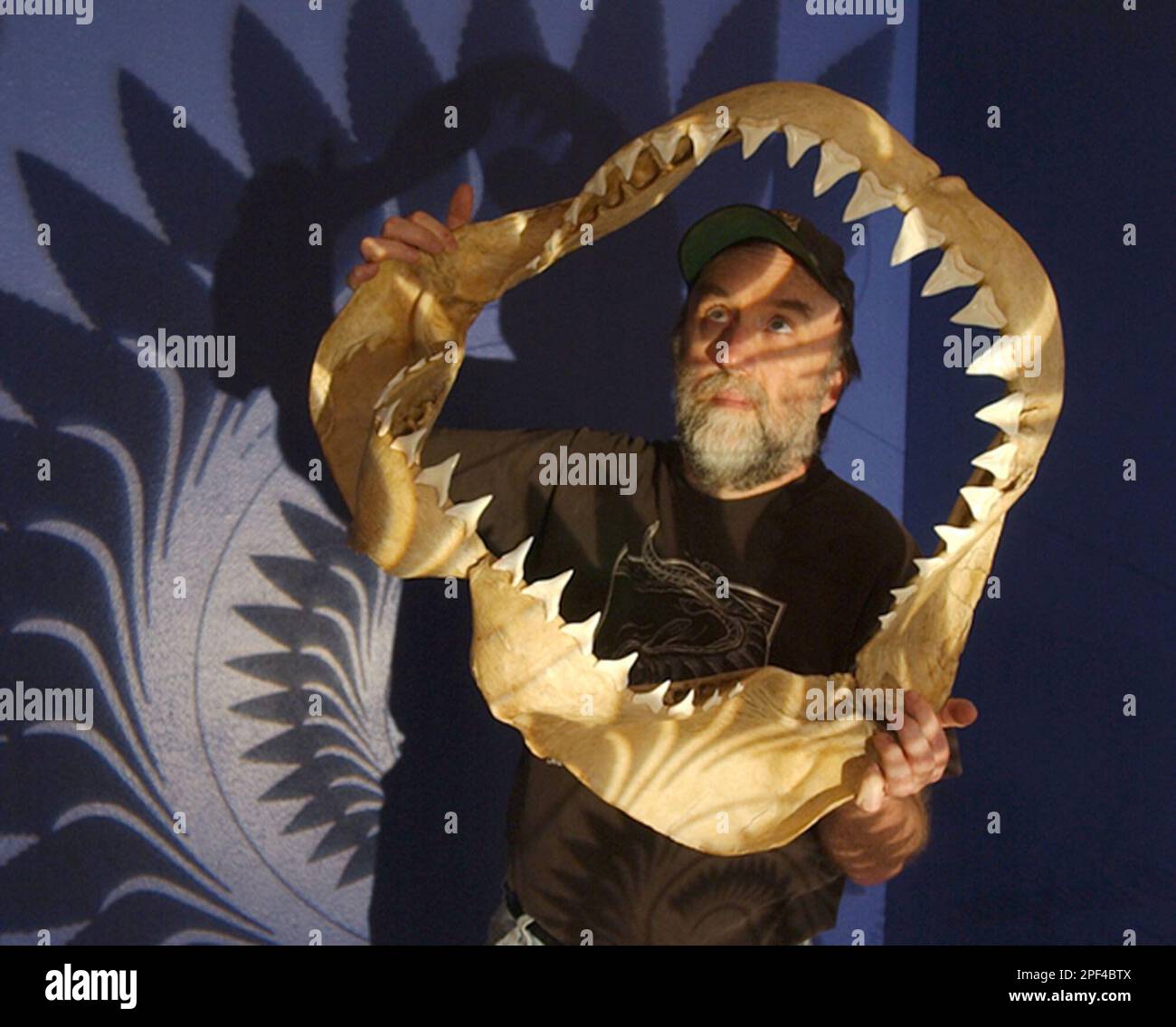 Alaska artist Ray Troll holds the jaws of a Great White Shark at the ...