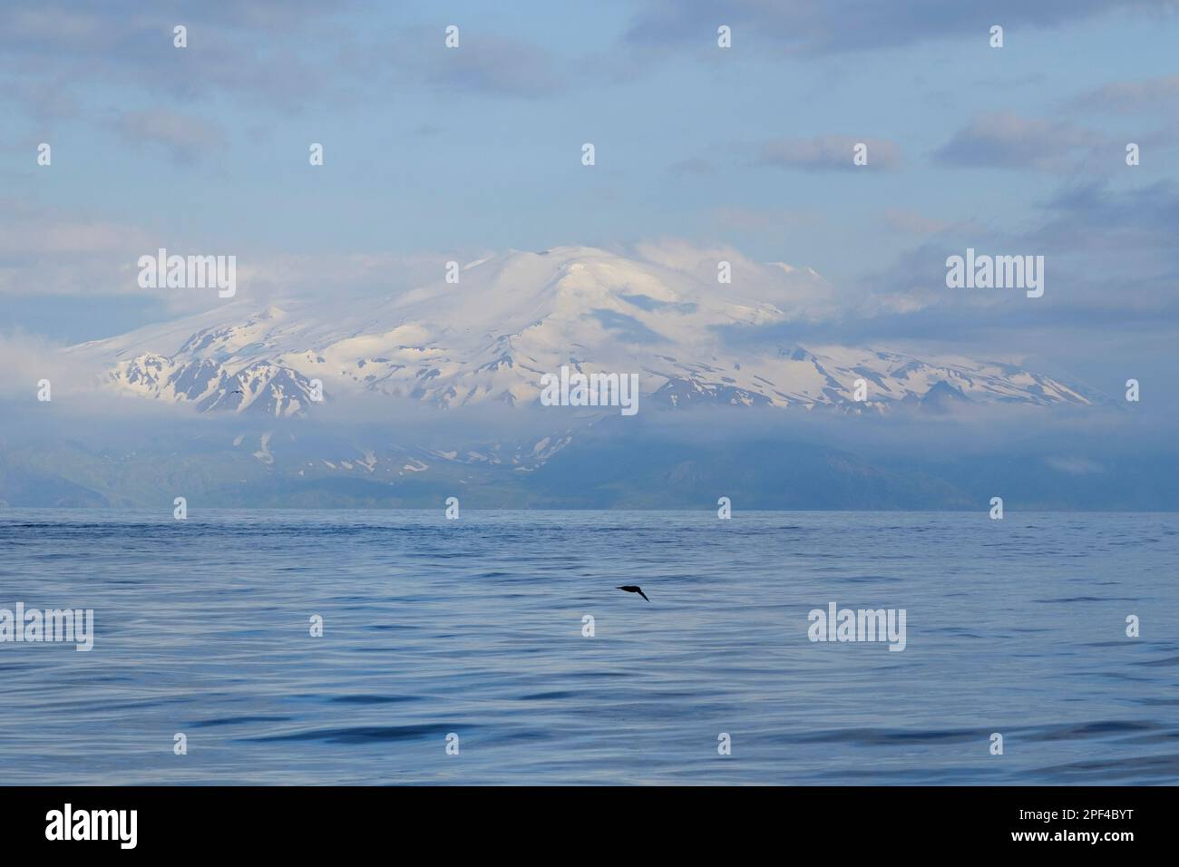 FILE - This photo provided by the Alaska Volcano Observatory/U.S ...