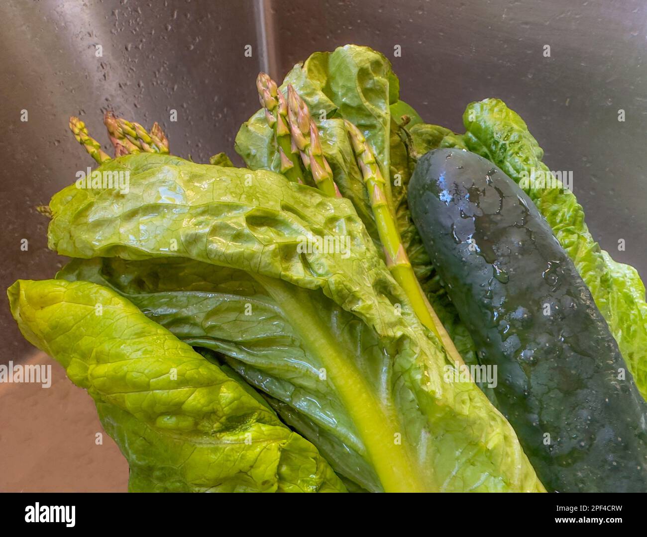 Closeup macro image shows green vegetables upright in sink, fresh, washed & ready. Asparagus ...