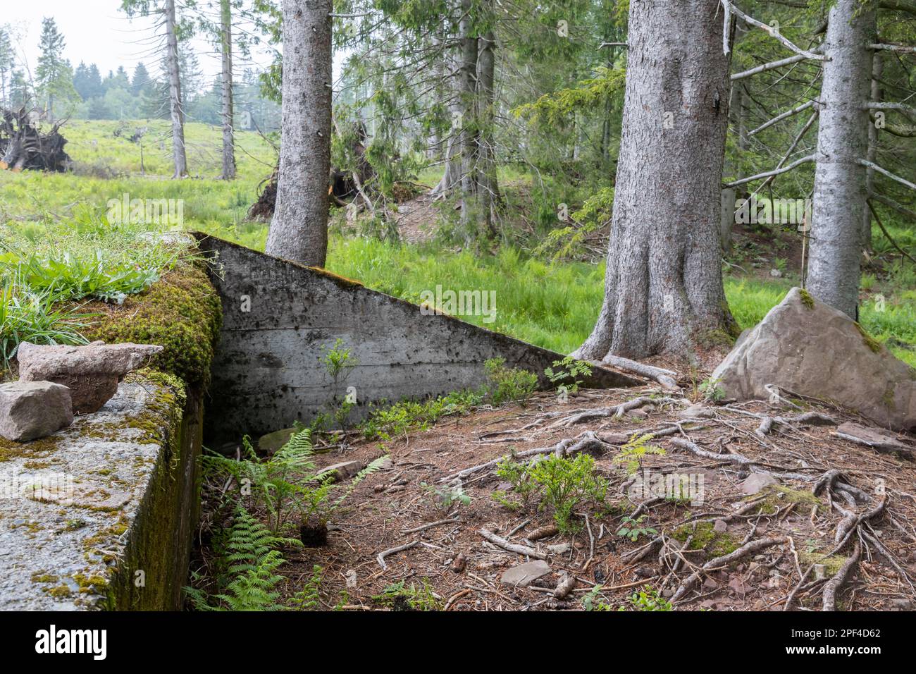 Remains of the ruins of Adolf Hitlers Tannenberg Fuehrer headquarters ...
