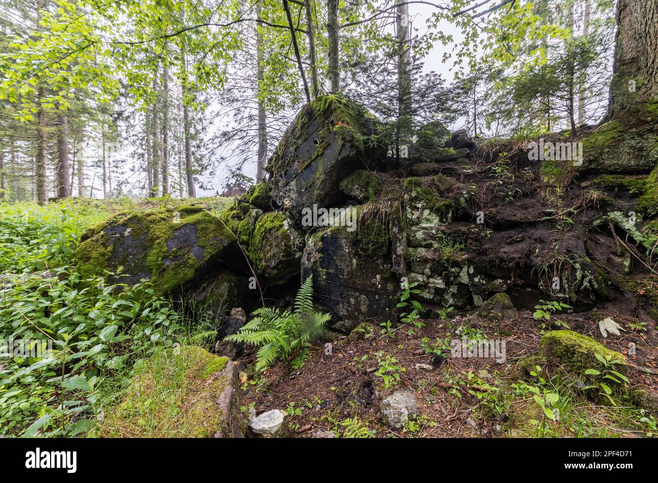 Remains of the ruins of Adolf Hitlers Tannenberg Fuehrer headquarters ...