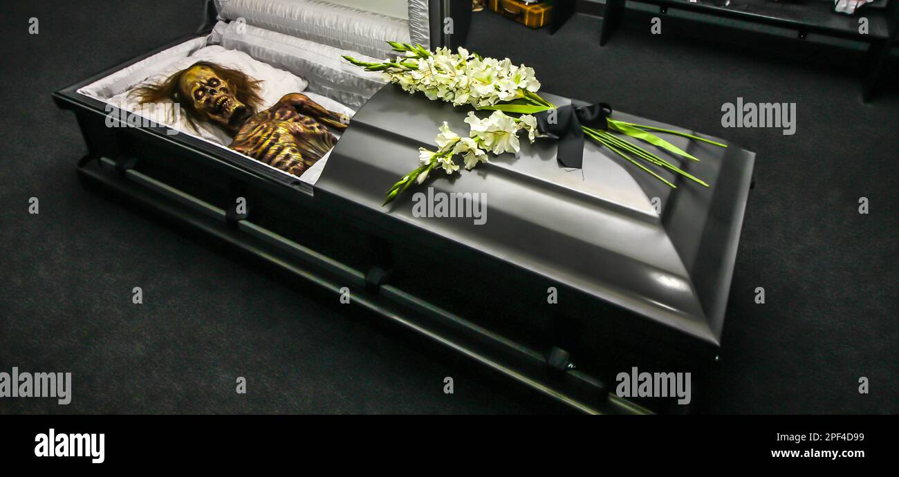 Skeleton In Grey Casket On Display At Horror Shop Stock Photo - Alamy