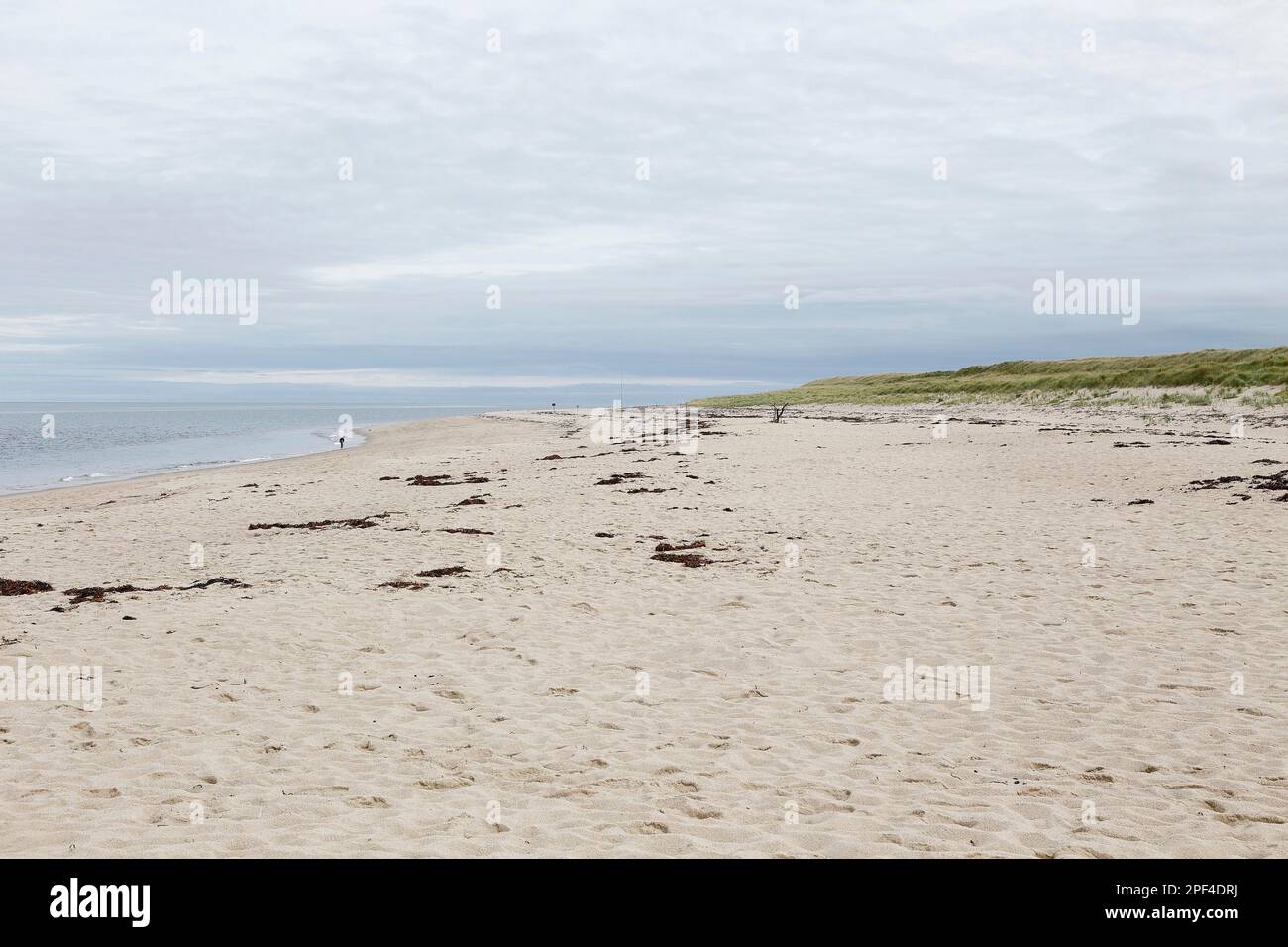 Cape cod beach atlantic hi-res stock photography and images - Alamy