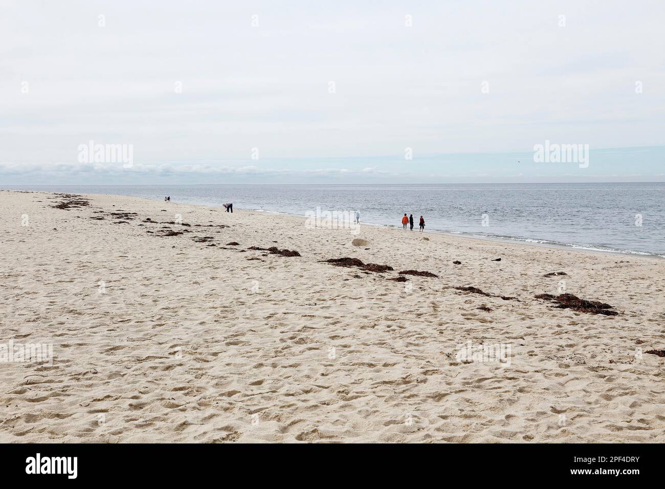 Coastal Landscape, Meadow Beach, Cape Cod, Atlantic Sea, Massachusetts ...
