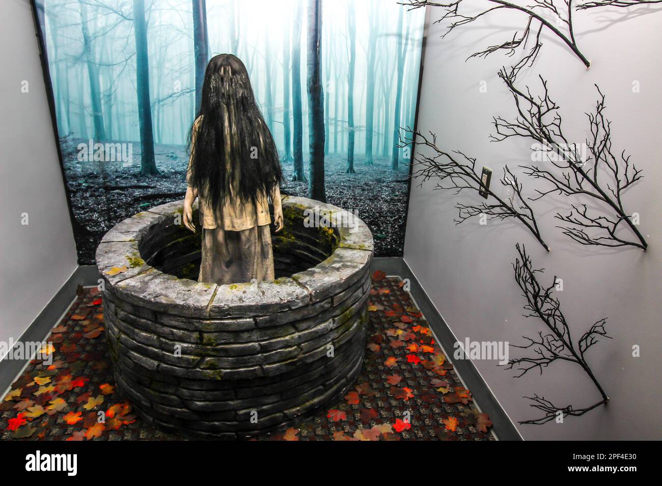 Girl In A Well Display At Local Horror Shop Stock Photo - Alamy