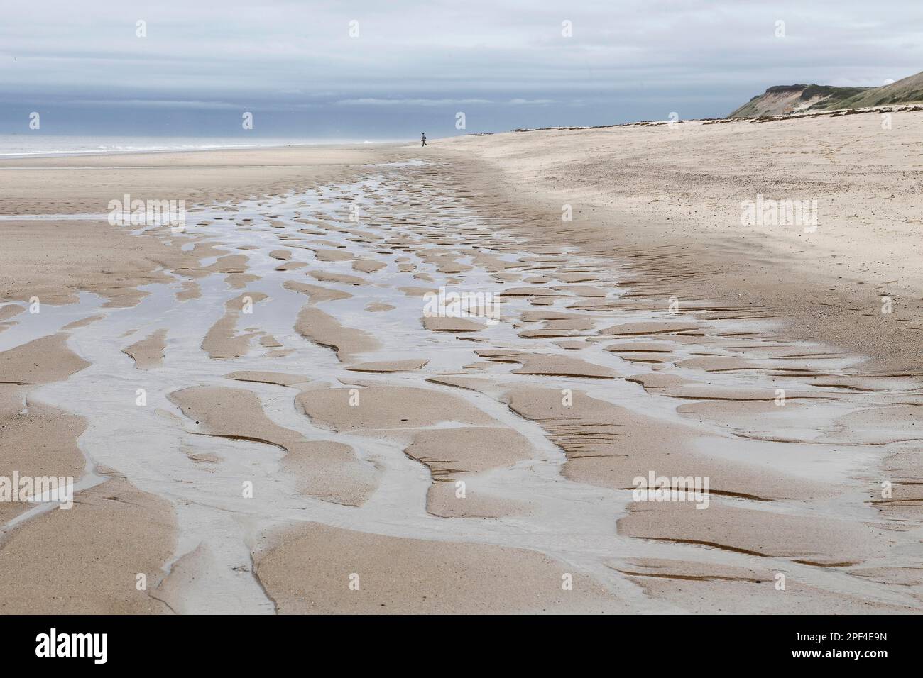 Coastal Landscape, Meadow Beach, Cape Cod, Atlantic Sea, Massachusetts ...