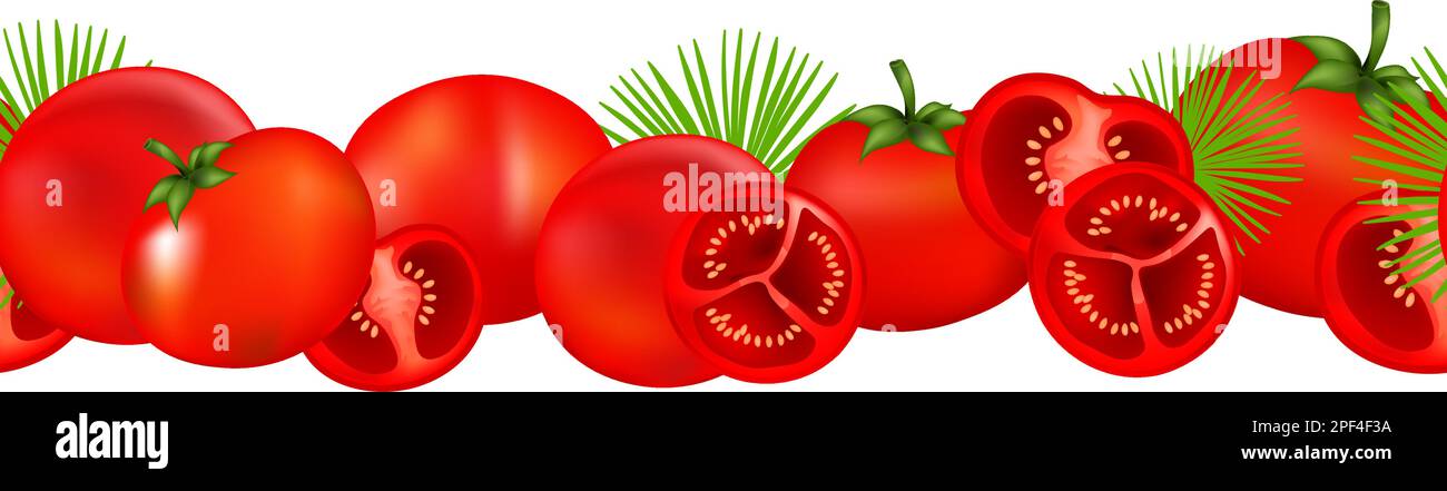 La Tomatina festival banner. La Tomatina in Spain. tomato fight. tomato ...