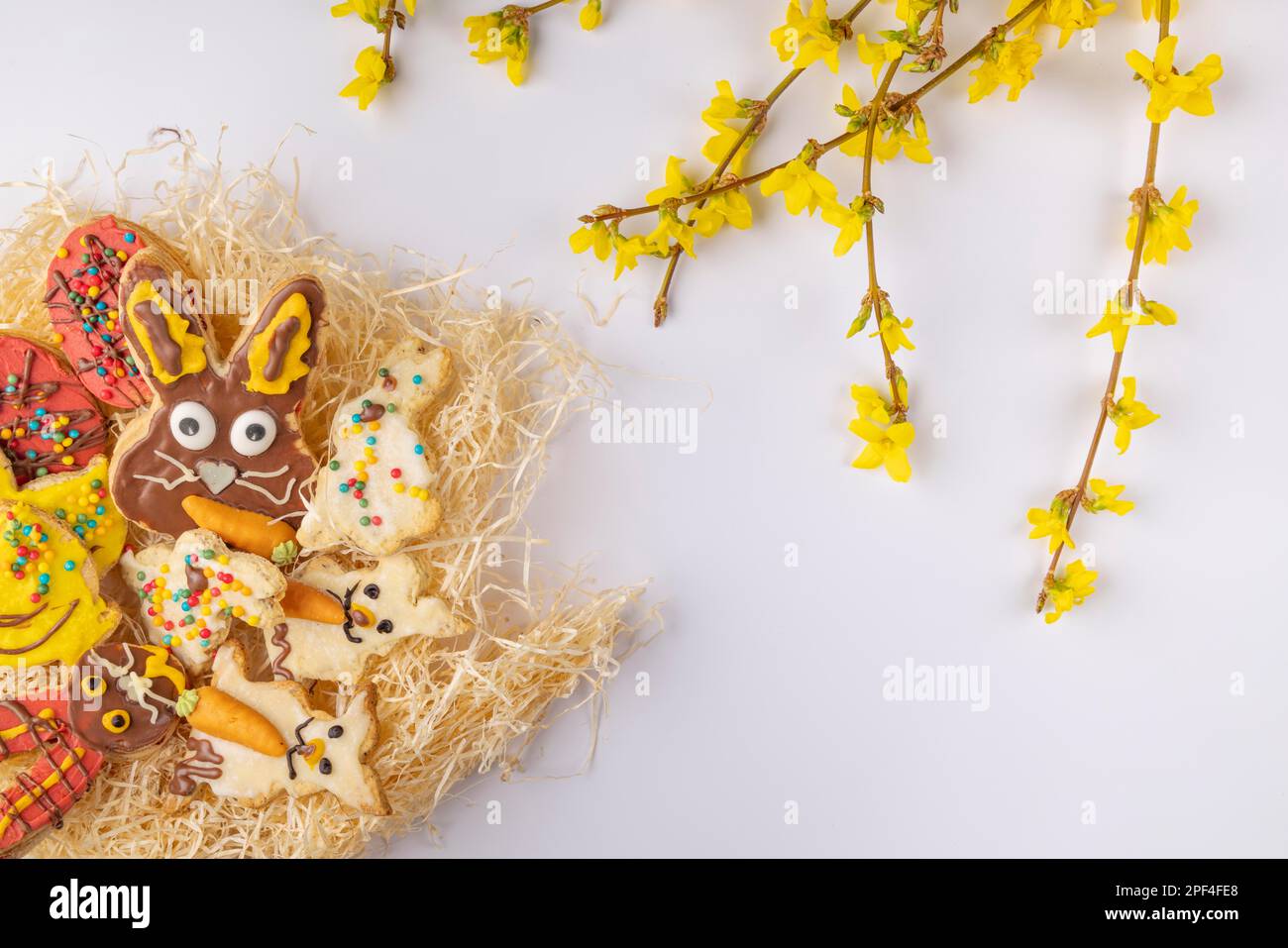 Colourfully decorated Easter biscuits in a nest, forsythia blossoms ...