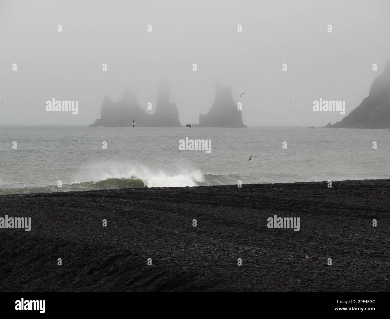Rainy atmosphere, cliff in the fog, rock Reynisdrangar in the water, at ...