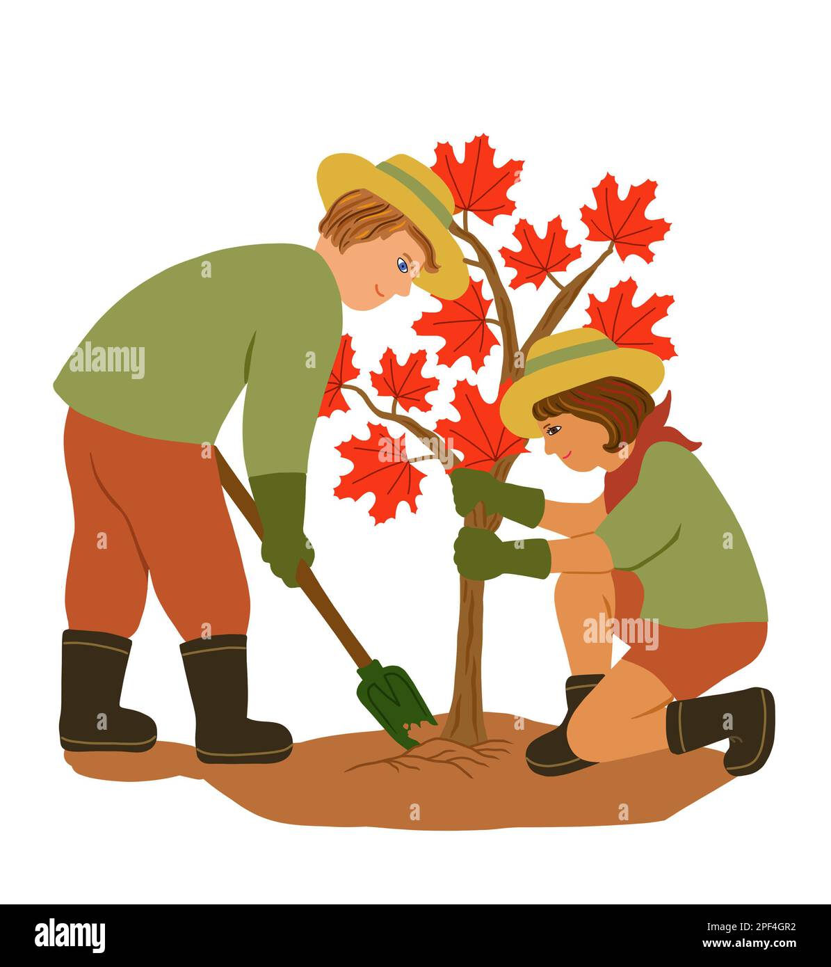 Young Caucasian gardener couple planting red maple tree together ...