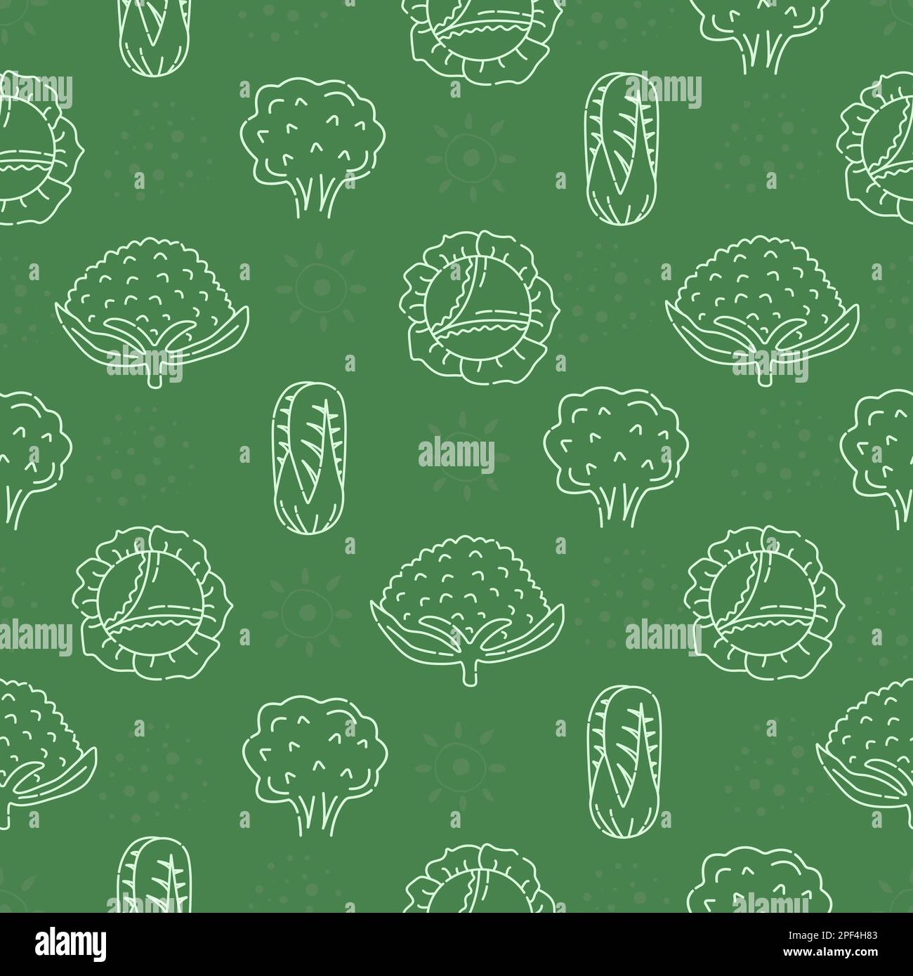 Different types of cabbage, green vector seamless pattern Stock Vector ...