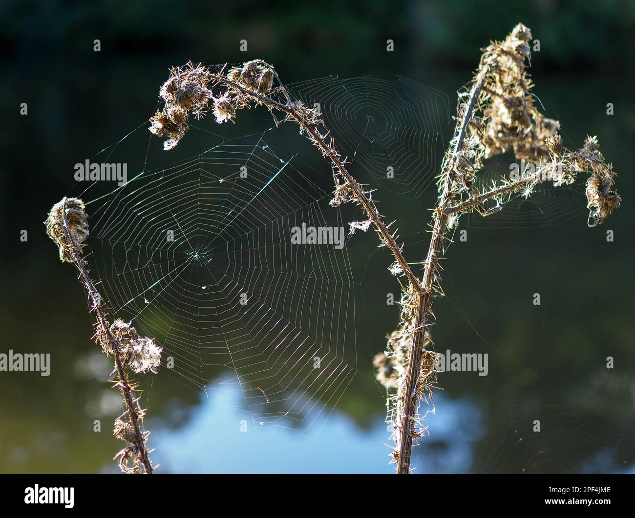 Kingdom countryside hi-res stock photography and images - Alamy