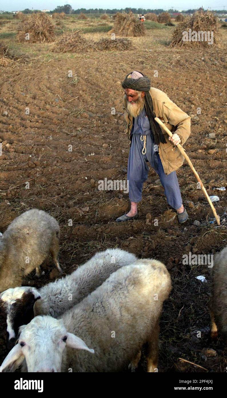 Juma Gul, an Afghan refugee who does not remember his age, lost ...
