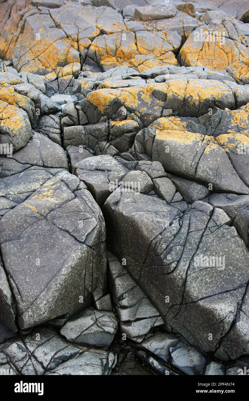 Yellow stone called wall texture hi-res stock photography and images ...