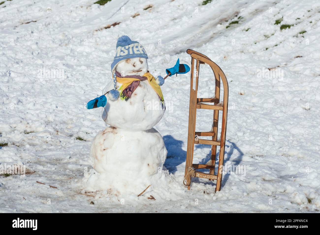 Snowman with sledge, cap and scarf, Bremen, Germany Stock Photo - Alamy