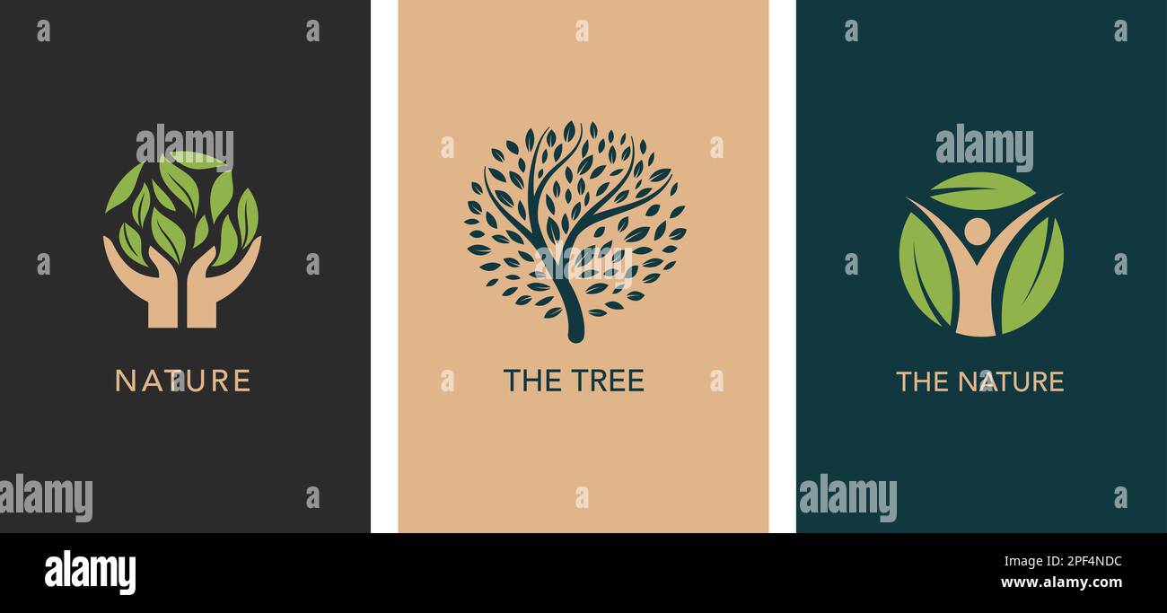 Tree logo collection. Luxury logo templates . Tree of life branch with ...