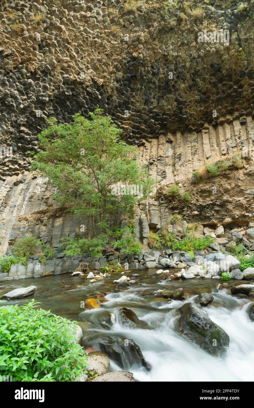 Symphony of Stones, basalt column formation along the Garni Gorge ...