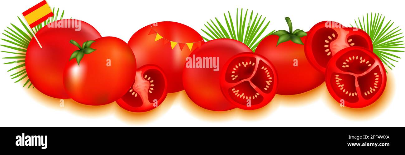 La Tomatina festival banner. La Tomatina in Spain. tomato fight. tomato ...