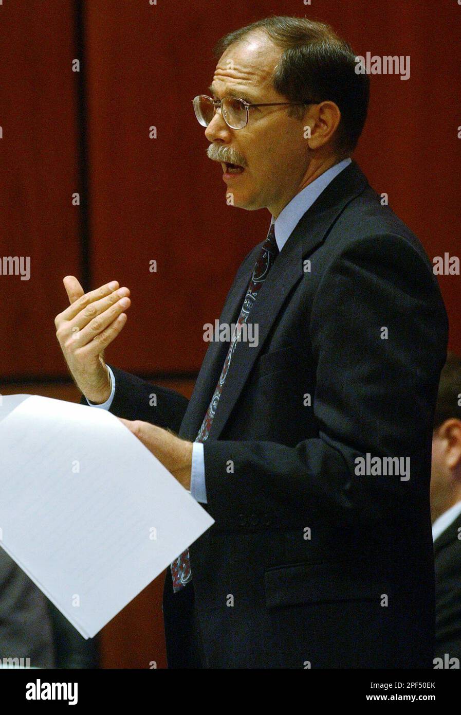 George Felos, attorney for Michael Schiavo, addresses the court during ...