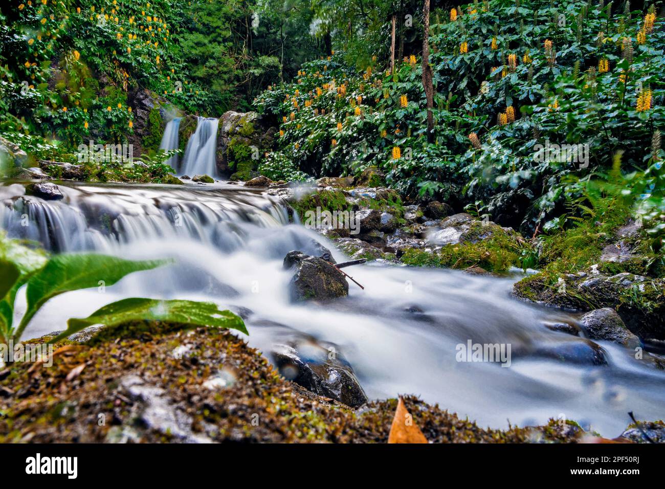 waterfalls in Açores, Portugal Stock Photo - Alamy