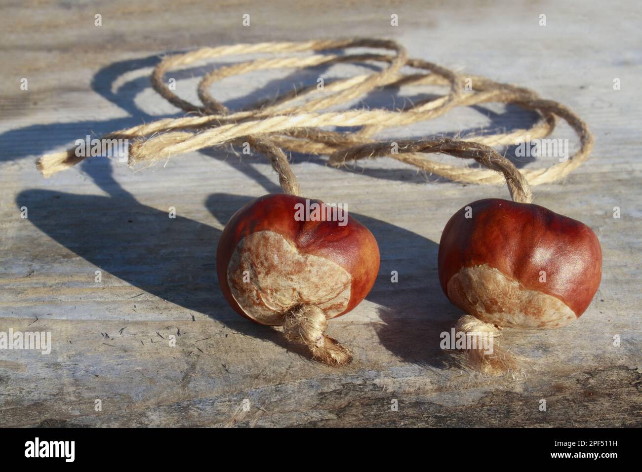 Two nuts hi-res stock photography and images - Alamy