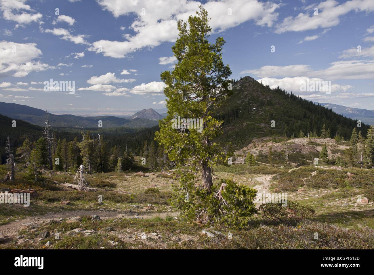 Californian mountain landscape hi-res stock photography and images - Alamy